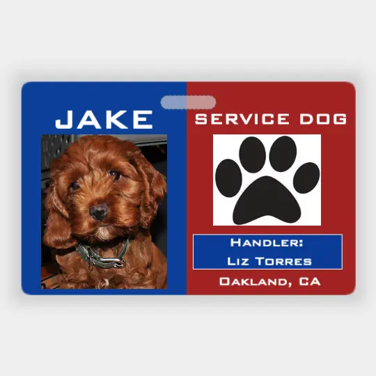 Service Dog Collar Tag Professional Service Dog ID Card - Custom ADA ...